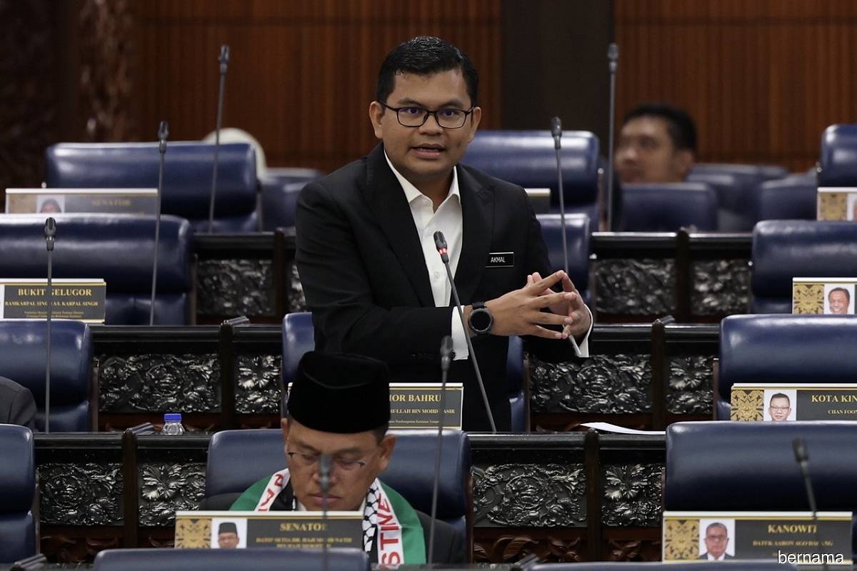 Malaysia to export electricity only after meeting local demand, says deputy minister